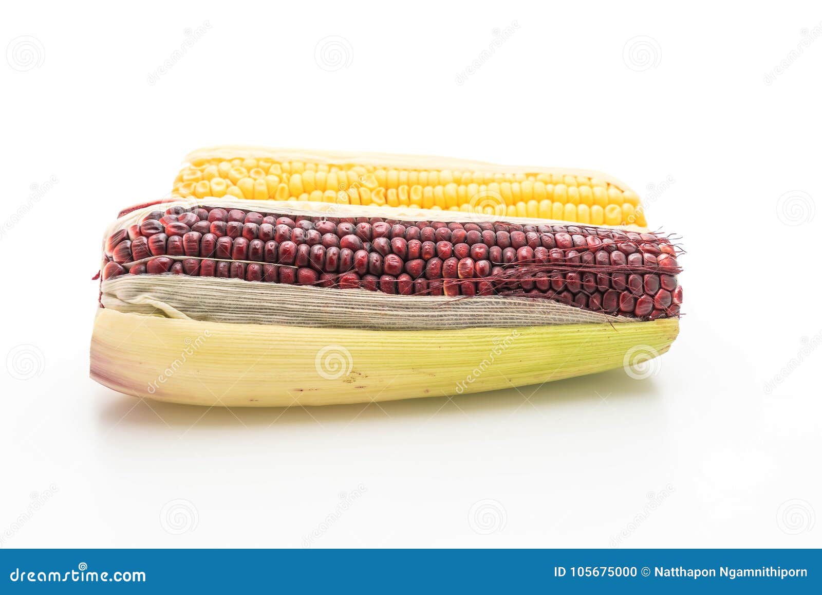 Milho Roxo Ou Milho Preto Do Milho E O Normal Foto de Stock - Imagem de ...
