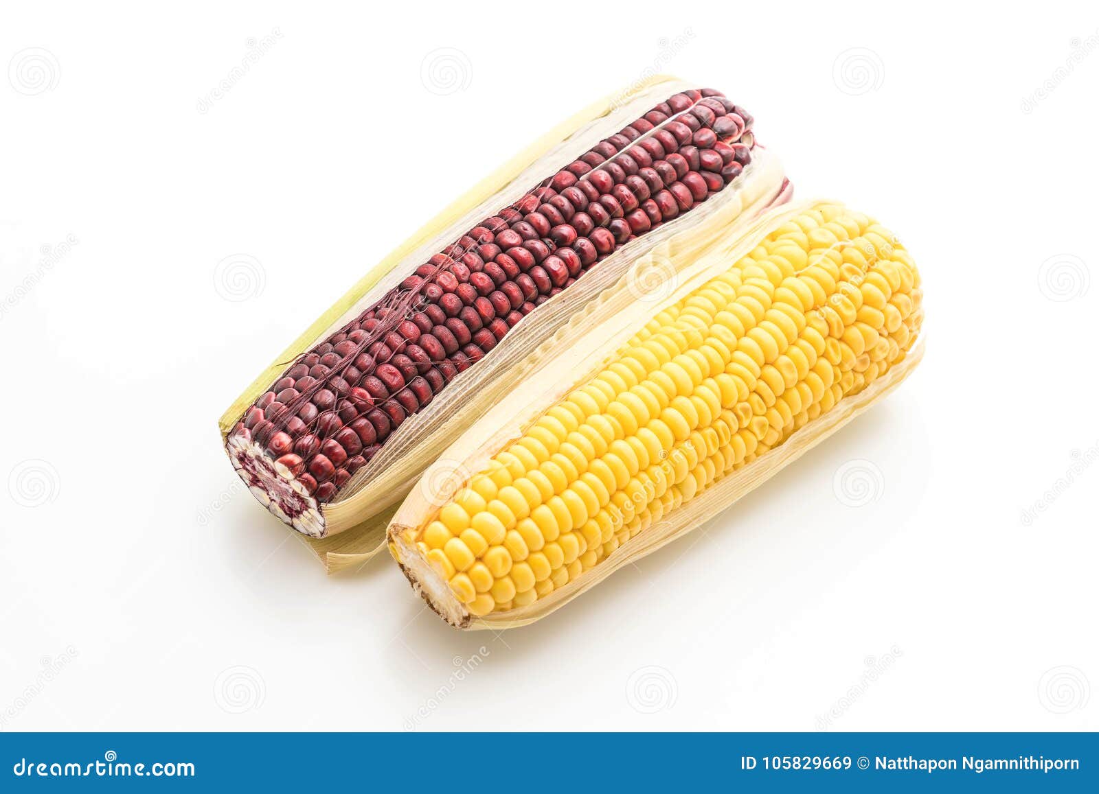 Milho Roxo Ou Milho Preto Do Milho E O Normal Imagem de Stock - Imagem ...