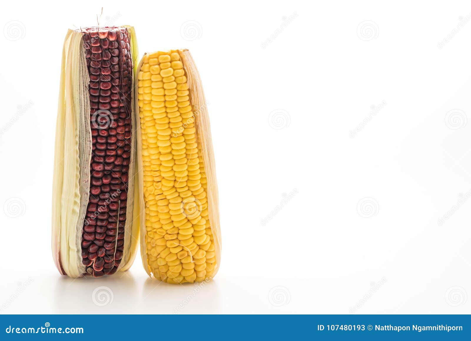 Milho Roxo Ou Milho Preto Do Milho E O Normal Imagem de Stock - Imagem ...