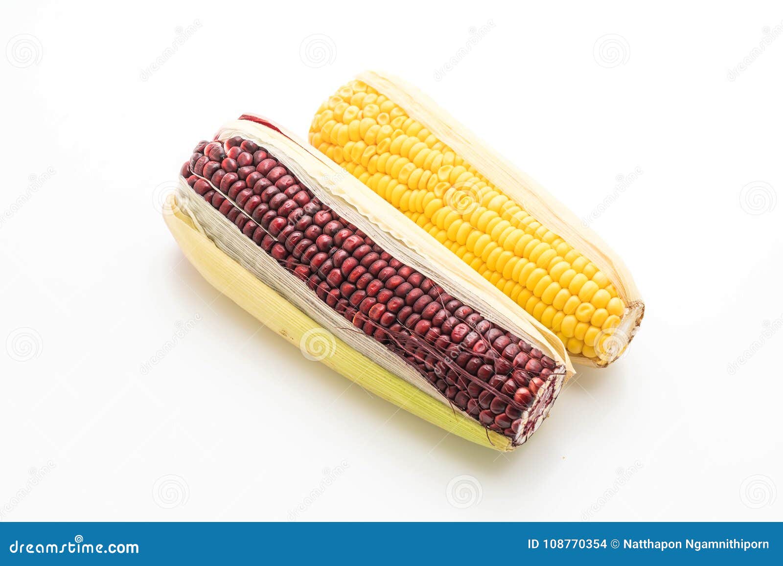 Milho Roxo Ou Milho Preto Do Milho E O Normal Foto de Stock - Imagem de ...