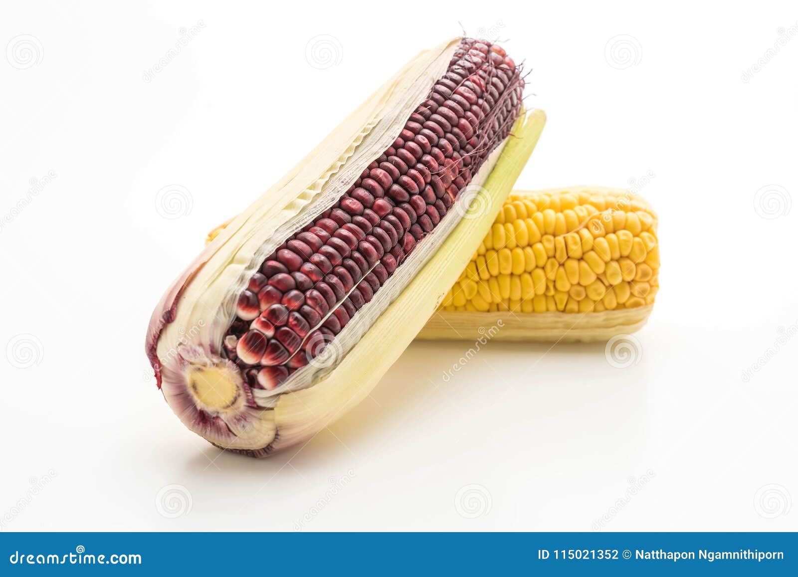 Milho Roxo Ou Milho Preto Do Milho E O Normal Foto de Stock - Imagem de ...