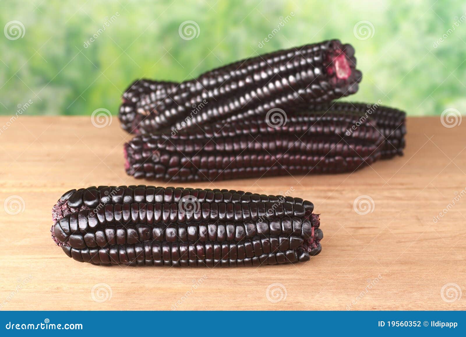 Milho roxo peruano foto de stock. Imagem de ninguém, ingrediente - 19560352