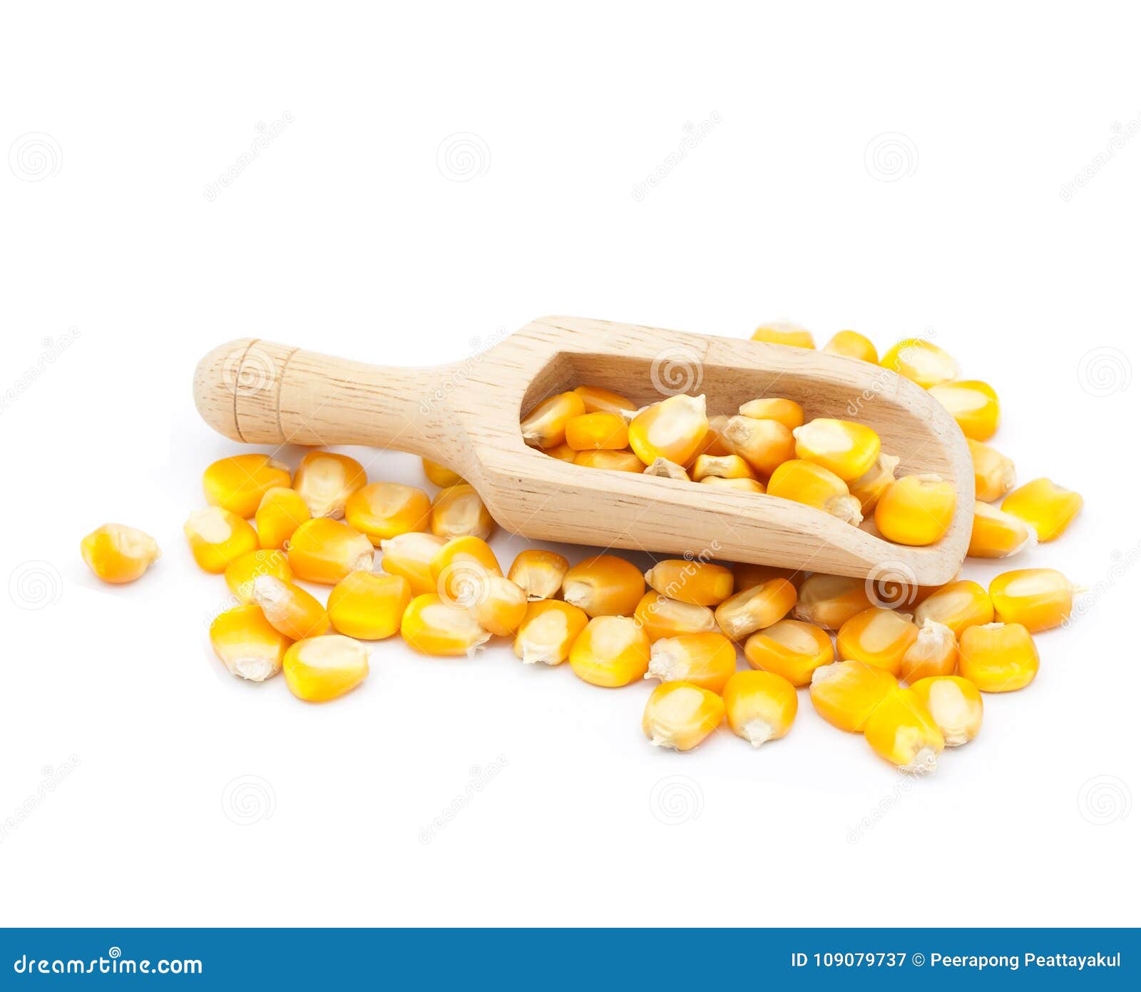 Milho Secado Do Milho Isolado No Fundo Branco Imagem de Stock - Imagem ...