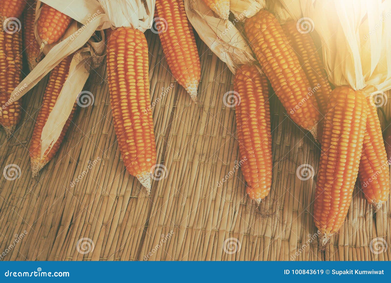 Milho Secado Em Espigas Na Palha Tecida, Cor Do Vintage Com Lighti ...