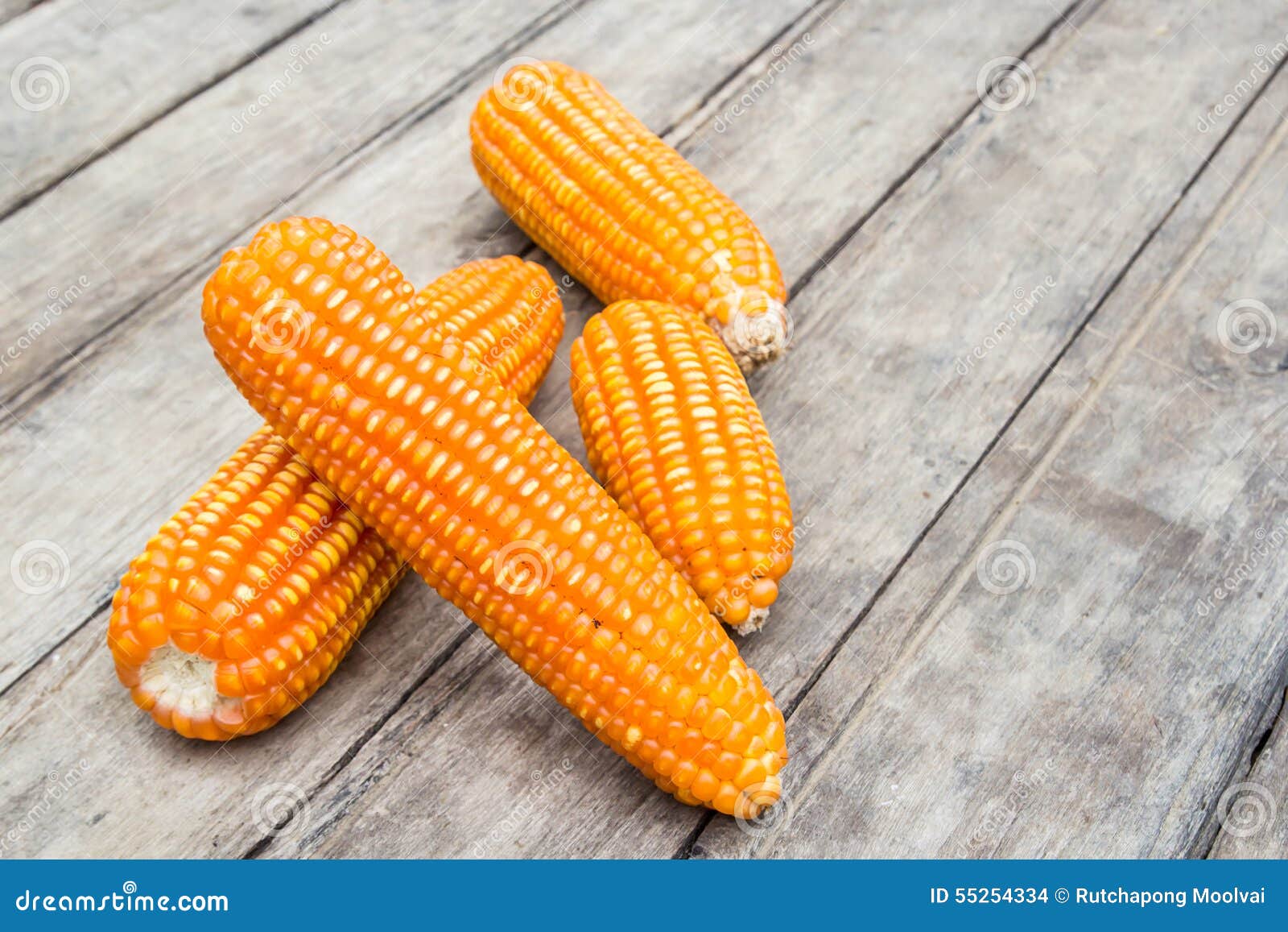 Milho Secado No Fundo De Madeira Velho Foto de Stock - Imagem de ...