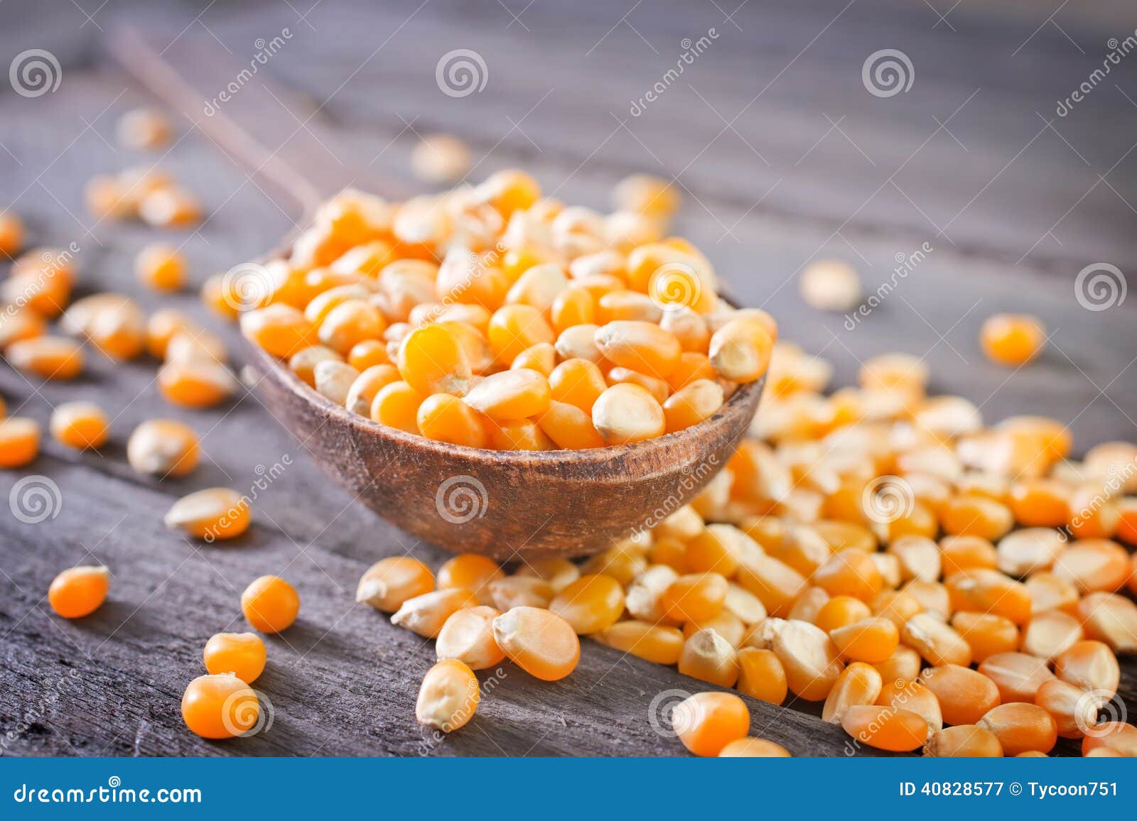 Milho seco imagem de stock. Imagem de casa, semente, seco - 40828577