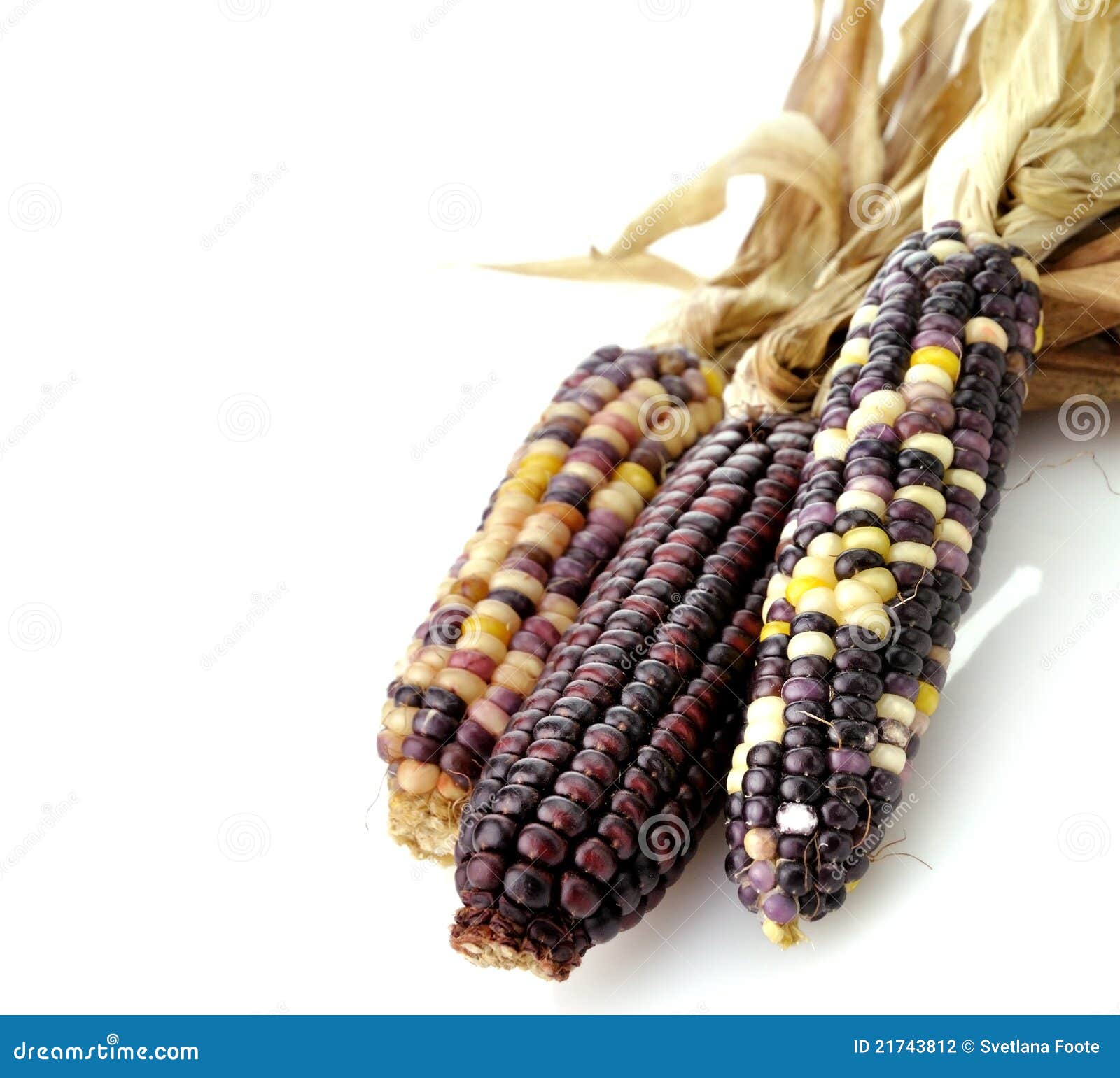 Milho seco colorido foto de stock. Imagem de fundo, cubo - 21743812