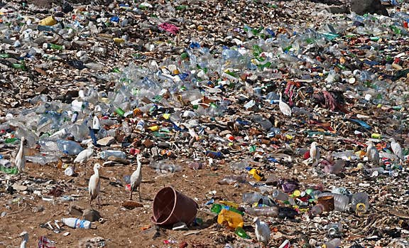 Milieuvervuiling stock foto. Image of ecologie, strand - 21622100