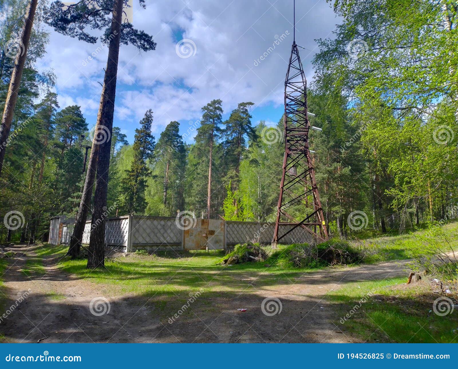 Military Base in the Forest Stock Image - Image of flower, grass: 194526825