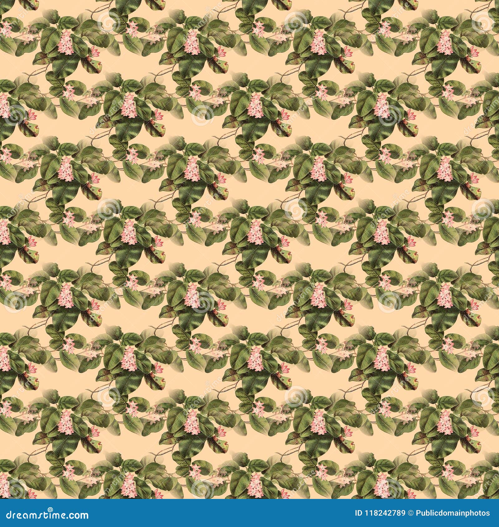 Military Camouflage, Leaf, Pattern, Tree Picture. Image: 118242789