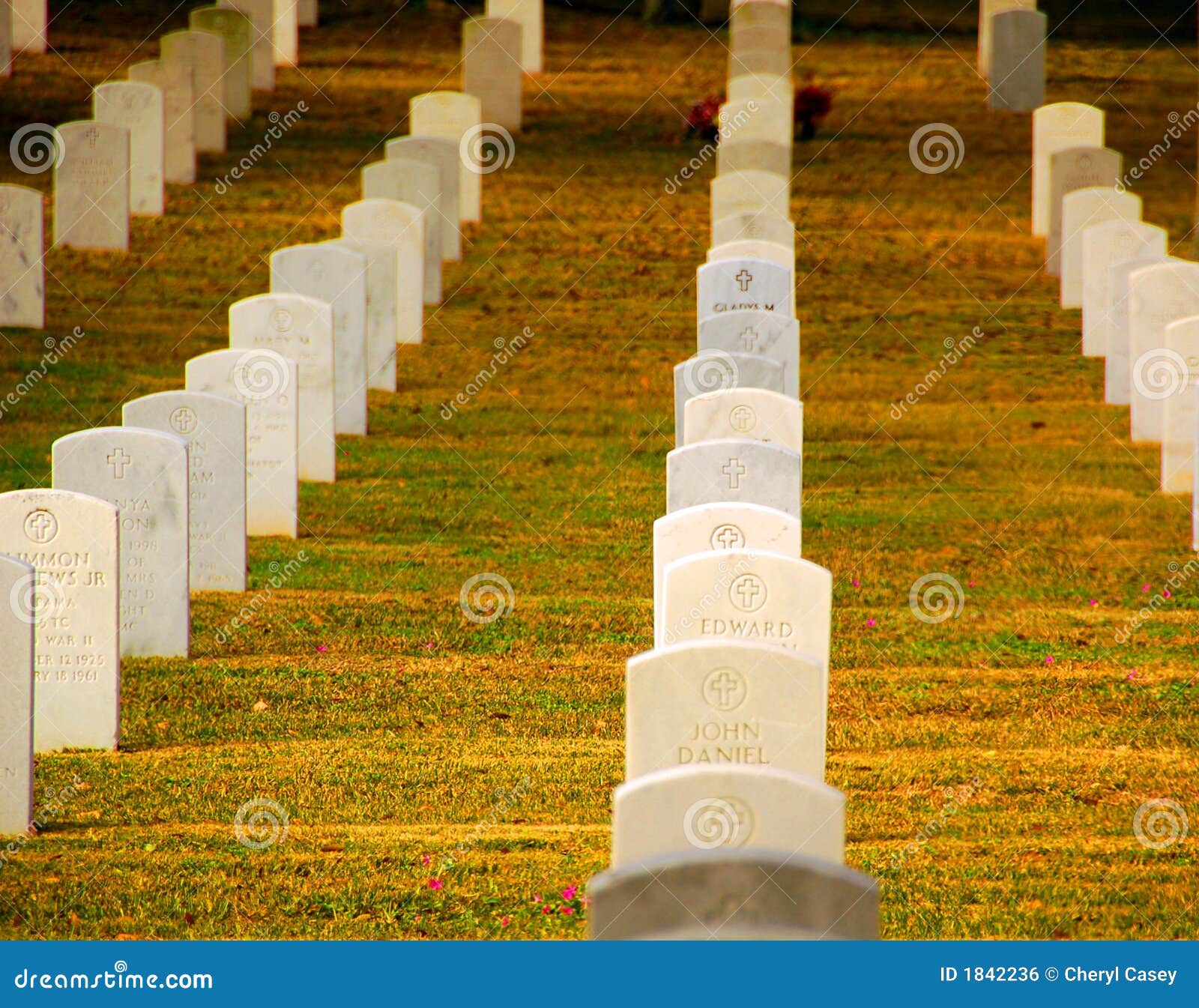 Military Cemetery stock photo. Image of mourn, grave, military - 1842236