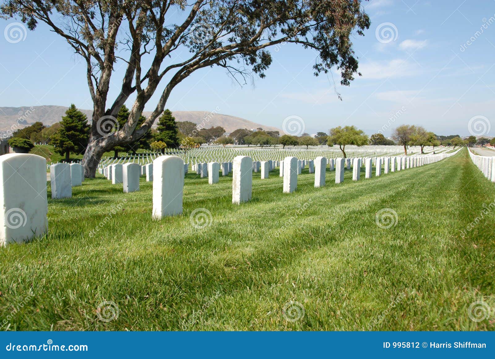 Military cemetery editorial photography. Image of headstones - 995812