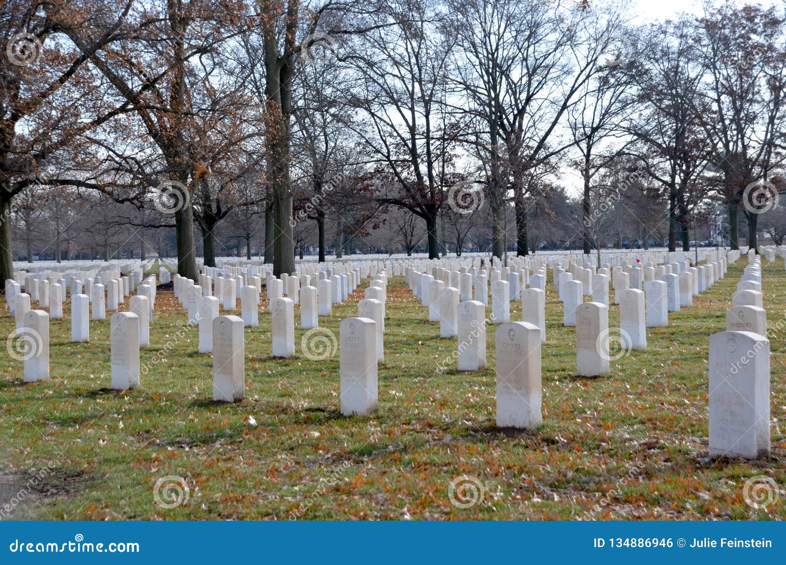 Military Christmas Graves editorial photo. Image of graves - 134886946