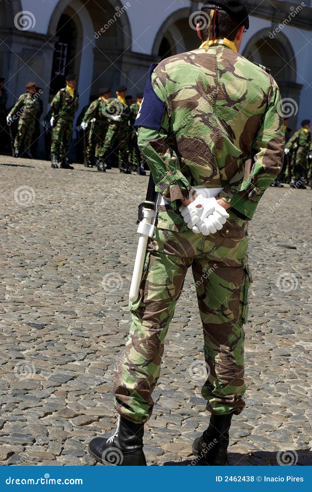 Military Forces of the Europe Stock Photo - Image of forces, march: 2462438