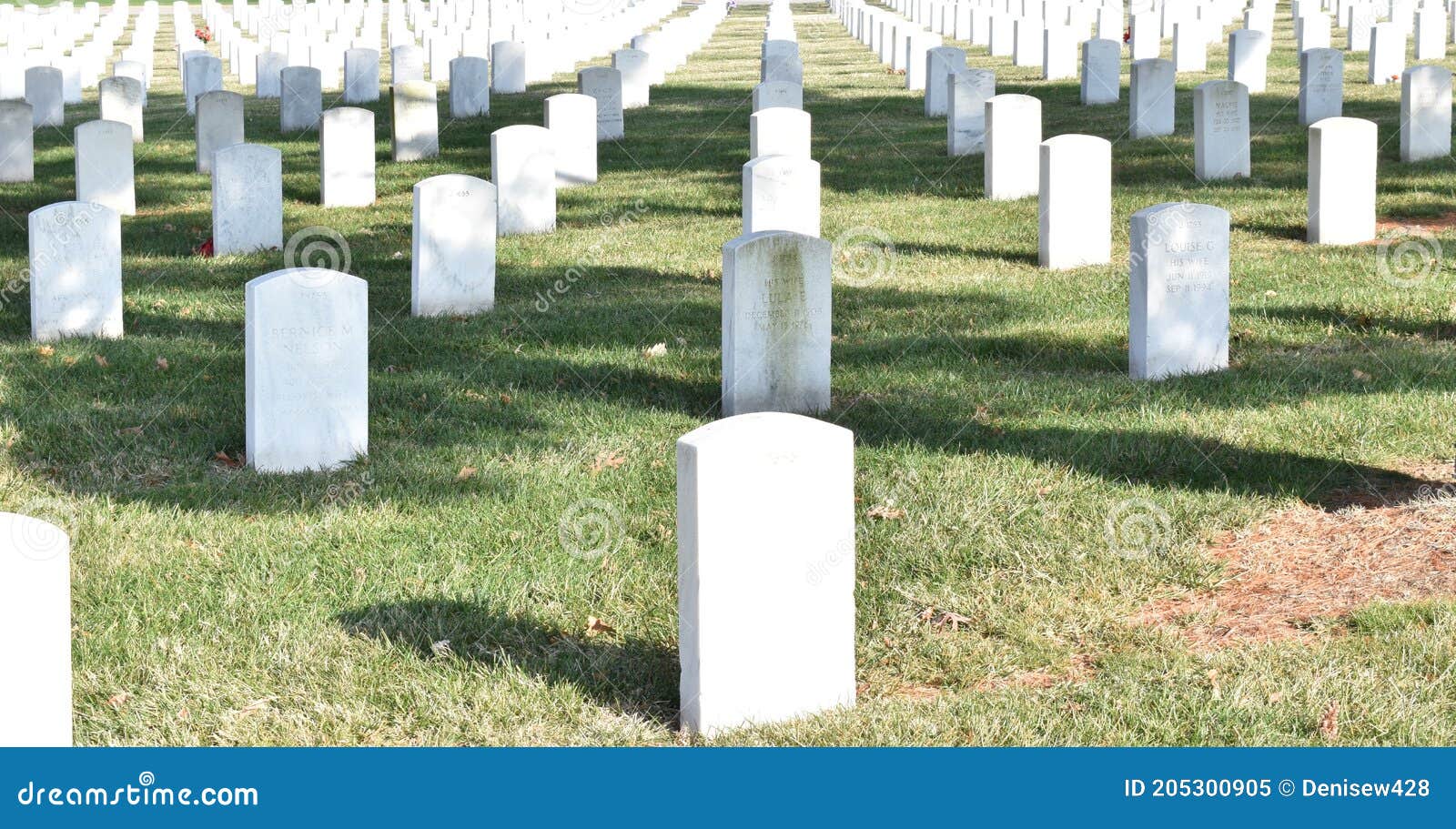 Military Graves MIA Flag Editorial Photo | CartoonDealer.com #134886667