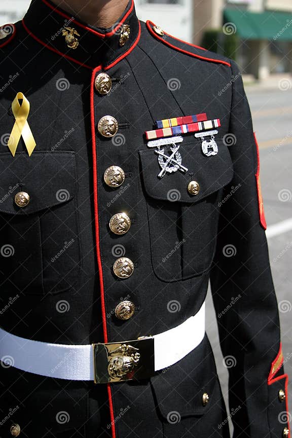 Military man stock photo. Image of memorial, glory, patriotic - 2484228