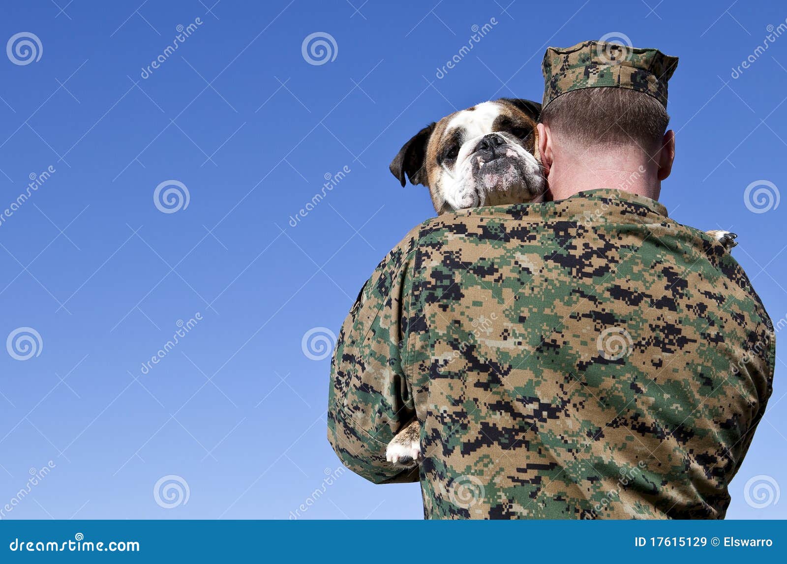 Military Man Hugs Dog stock image. Image of deploy, affection - 17615129