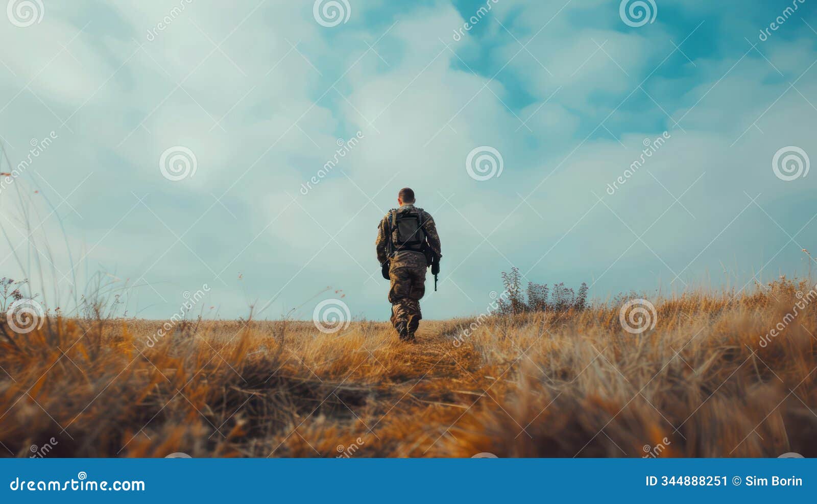 Military Officer Demonstrating Courage and Commitment Stock ...