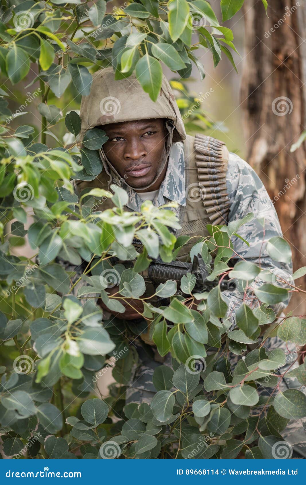 Military Soldier Guarding with a Rifle Stock Photo - Image of army ...