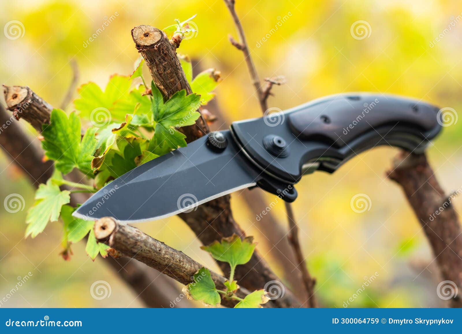 Military Tactical Knife on Tree in the Forest Stock Image - Image of ...