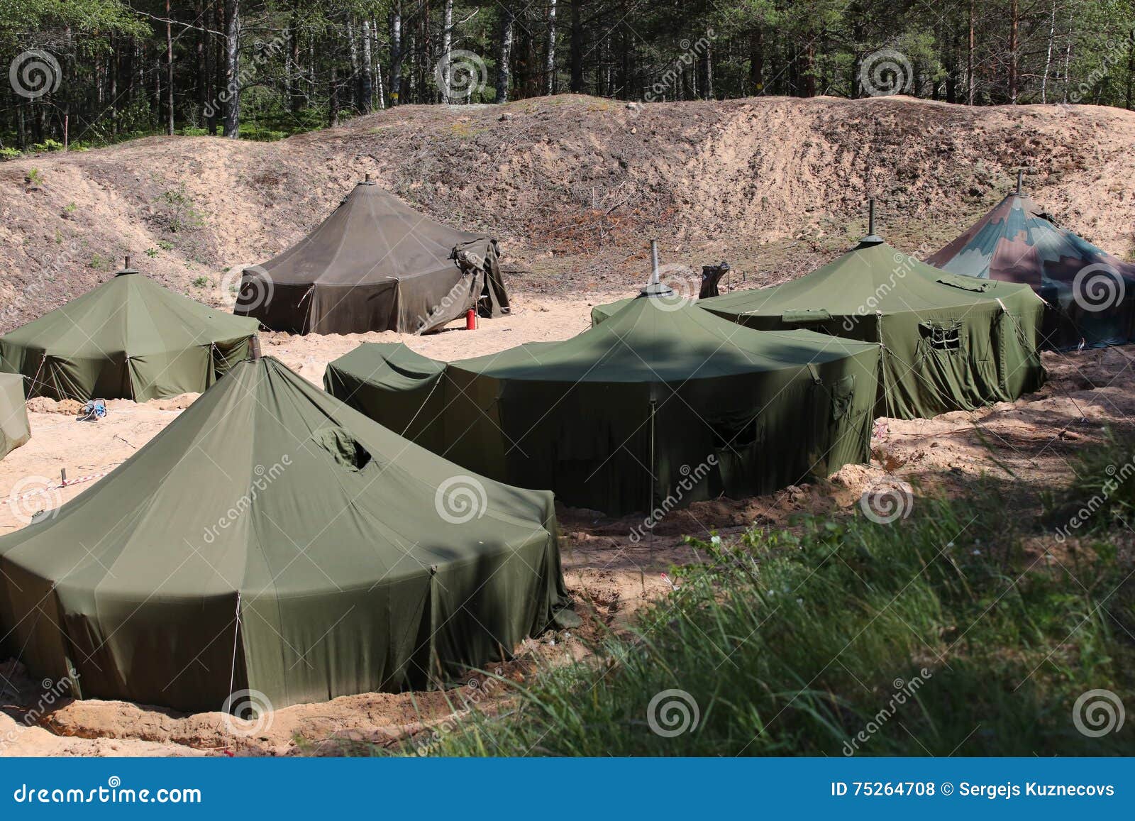 Military Tents in the Forest Stock Photo - Image of troops, camp: 75264708