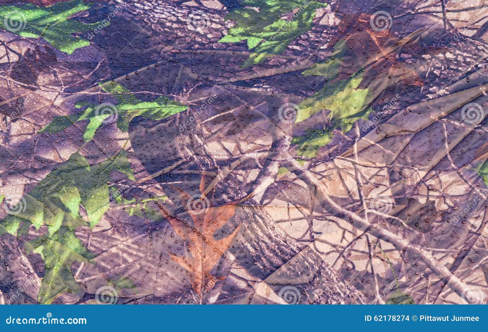 Military Texture Camouflage And Raindrop Use For Background Royalty ...