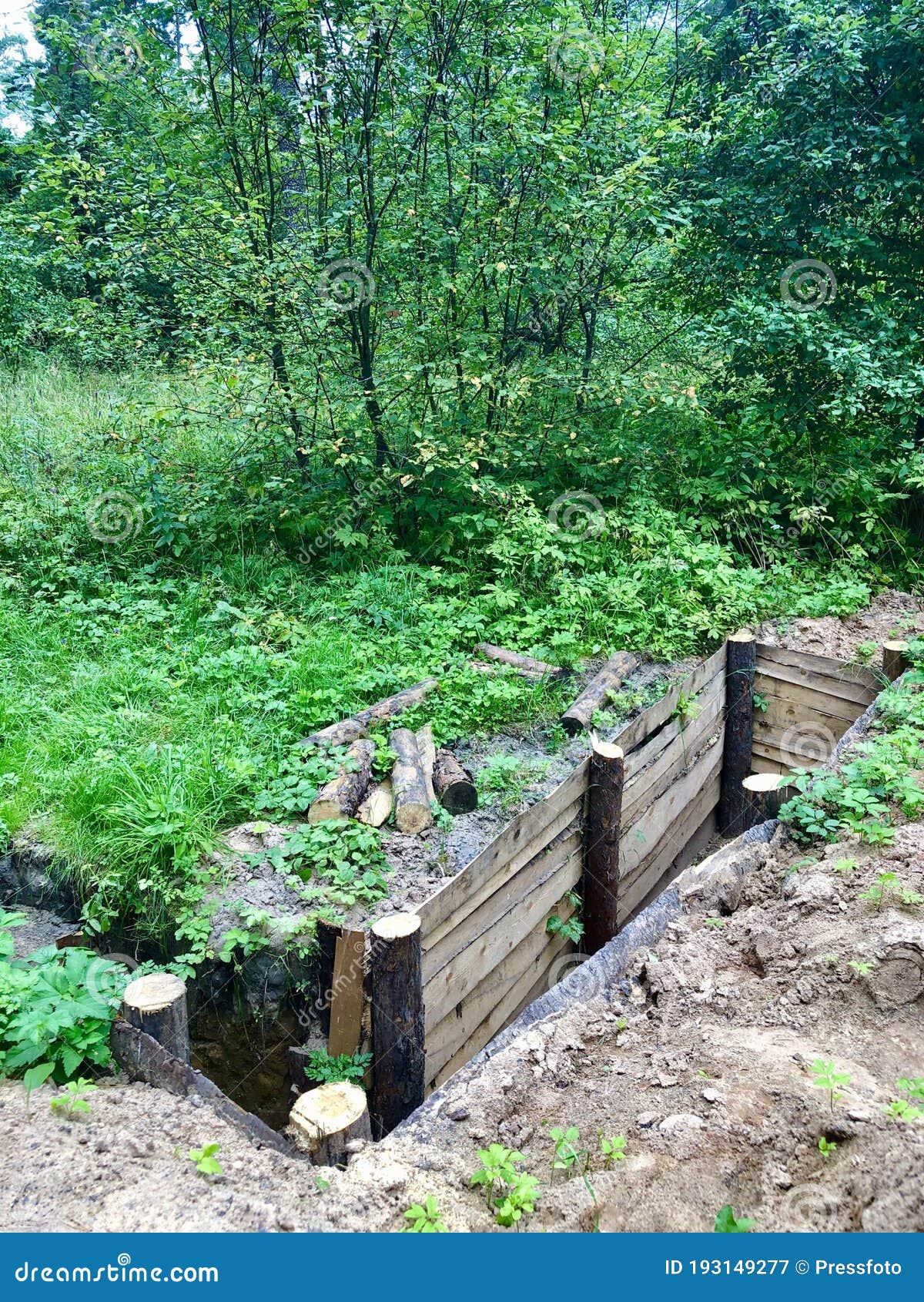 Military Trench in the Forest Editorial Photography - Image of deffense ...