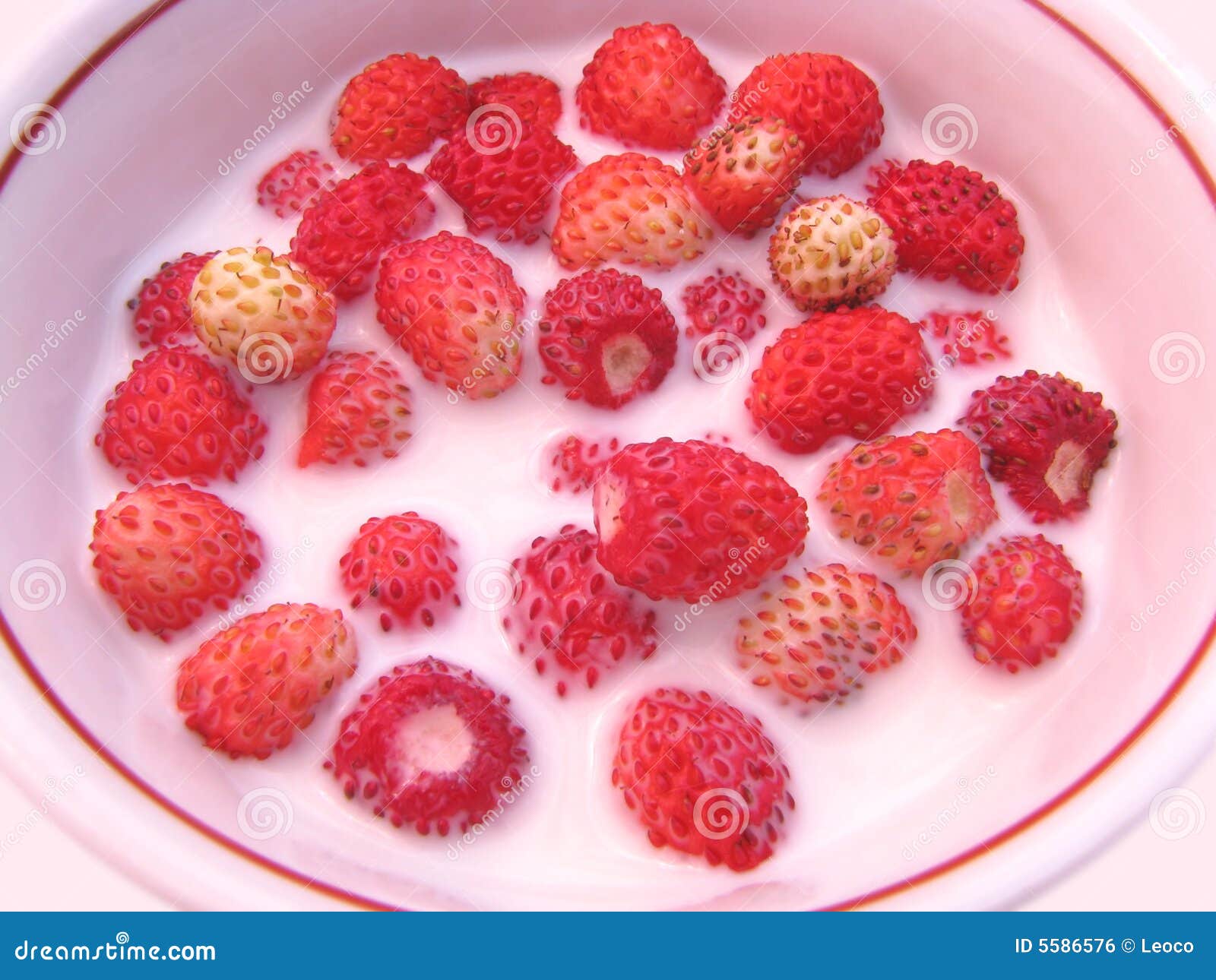 Milk and berries stock photo. Image of appetite, milk - 5586576