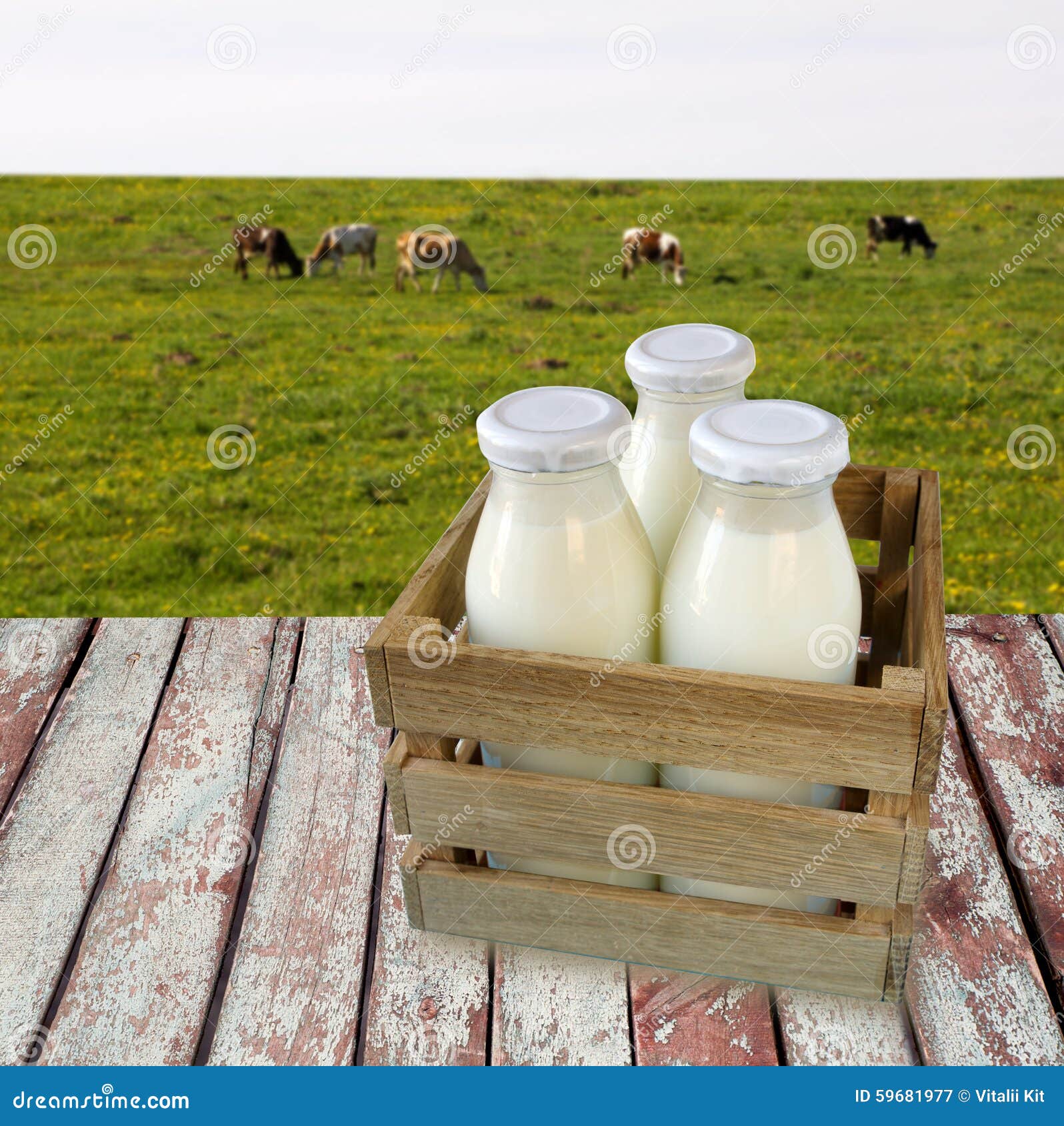 Milk in a Box on Wooden Table Overlooking a Meadow with Grazing Stock ...