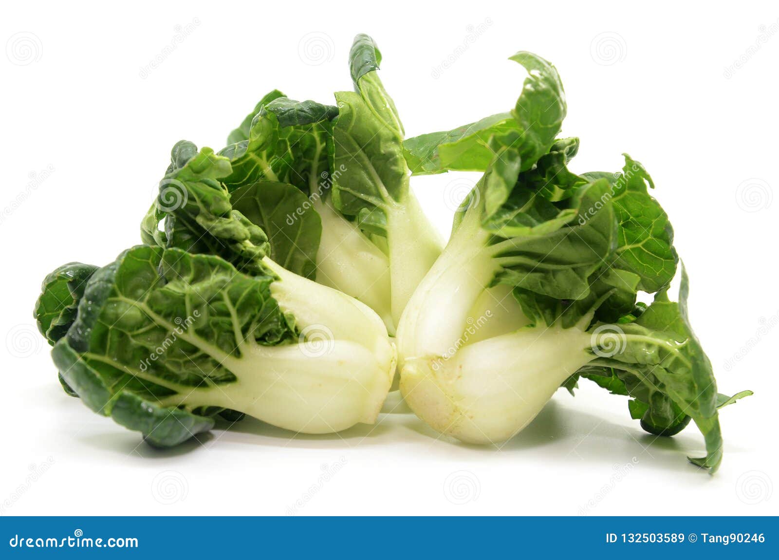 Milk cabbage bok choy stock image. Image of creamed - 132503589