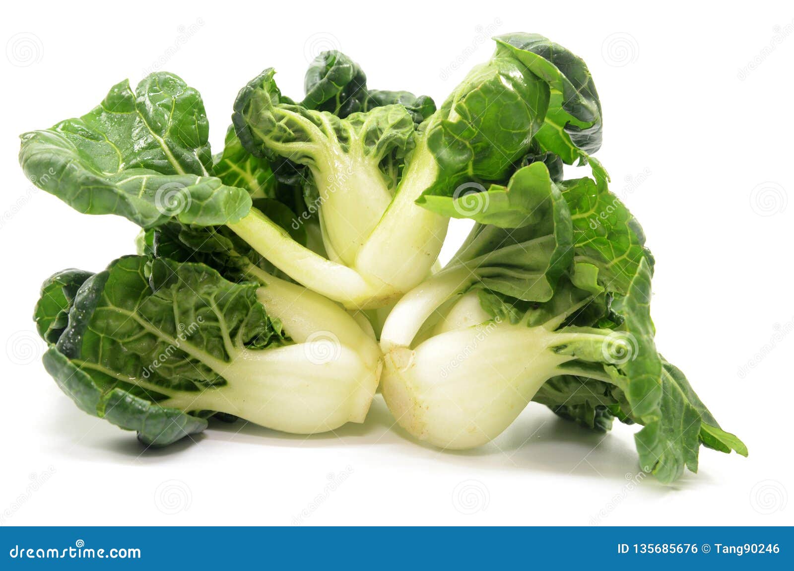 Milk cabbage bok choy stock photo. Image of white, leafy - 135685676