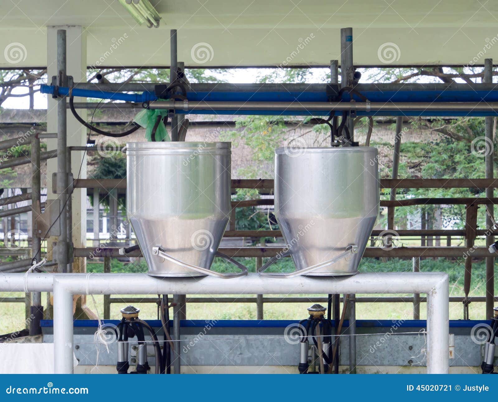 Milk can stock image. Image of container, transport, farm - 45020721