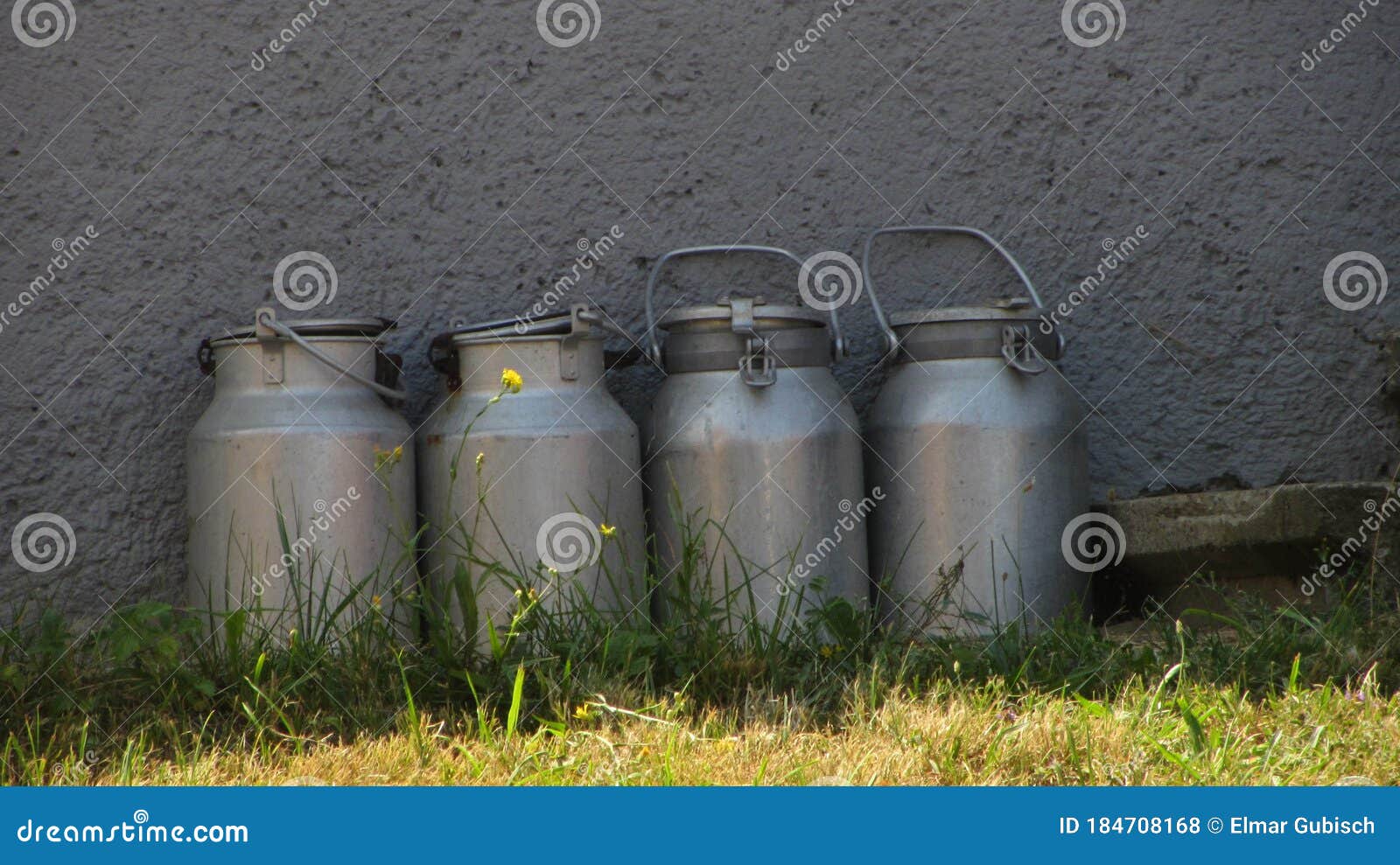Milk cans on a dairy farm stock photo. Image of business - 184708168