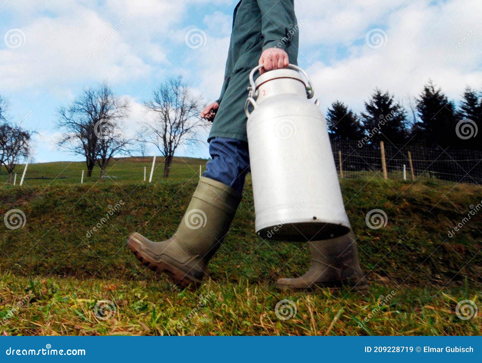 Milk cans on a dairy farm stock image. Image of price - 209228719