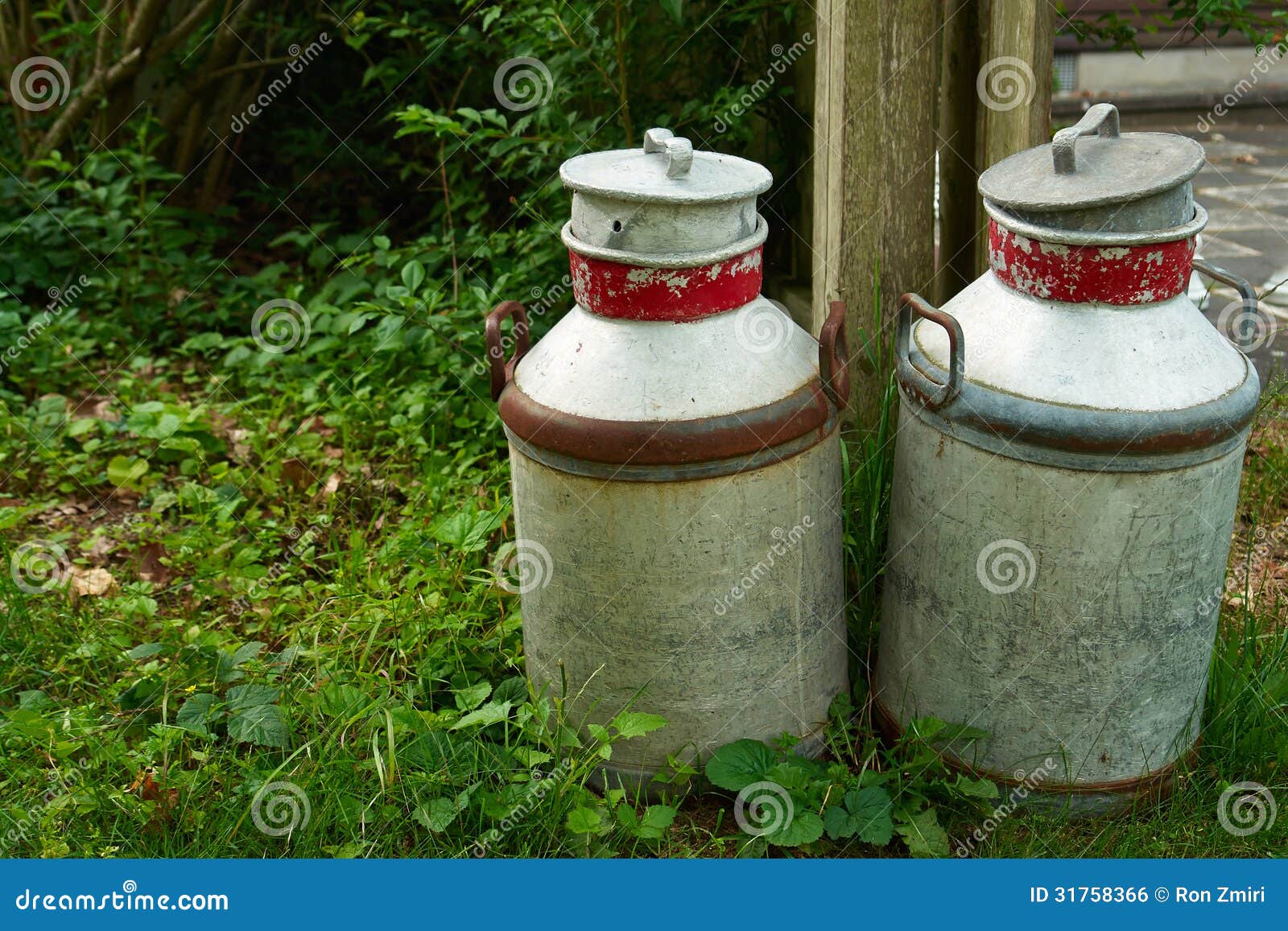 Milk cans jugs in a farm stock photo. Image of nature - 31758366