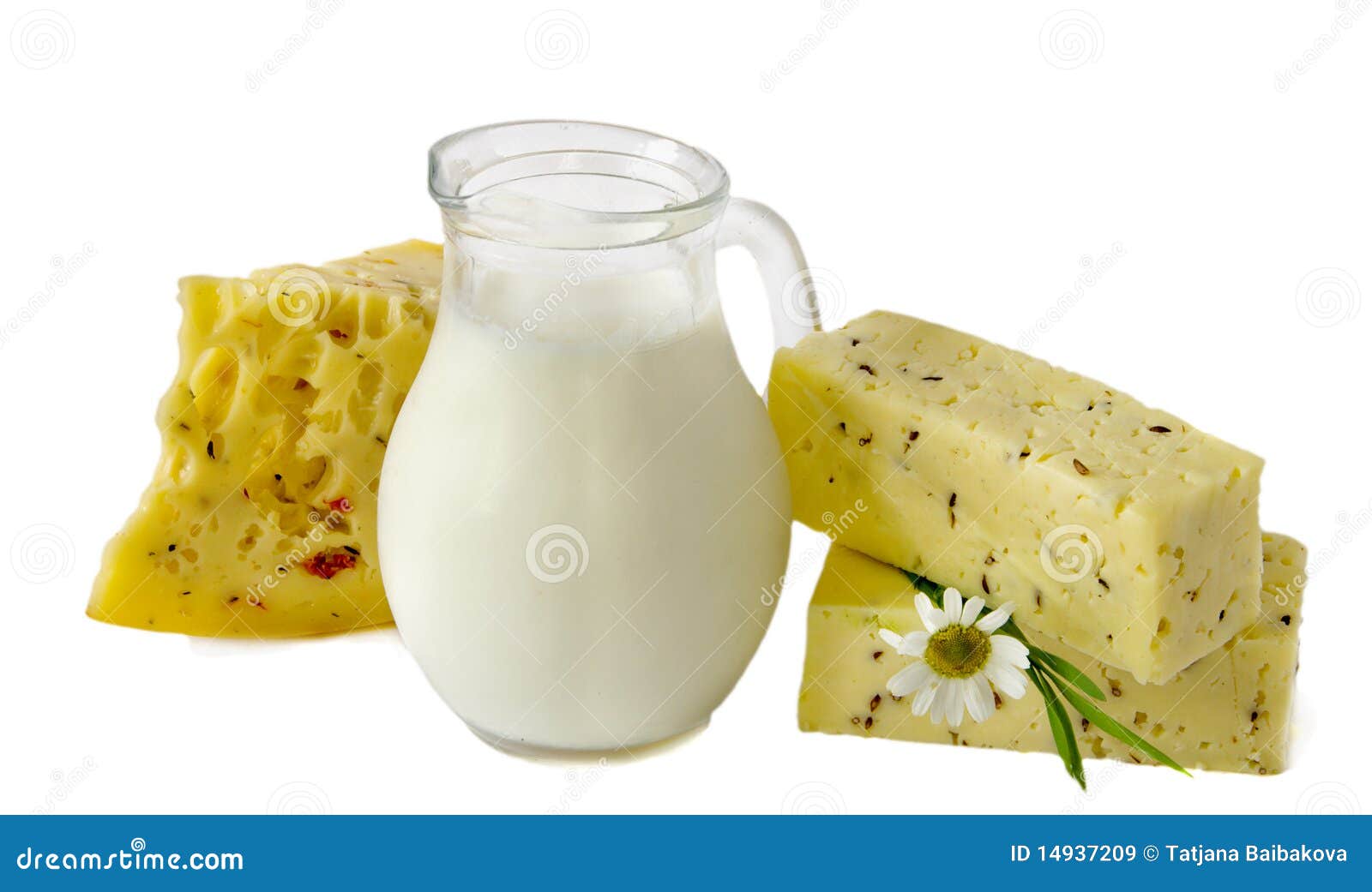 Milk and cheese stock image. Image of cheese, food, healthy - 14937209