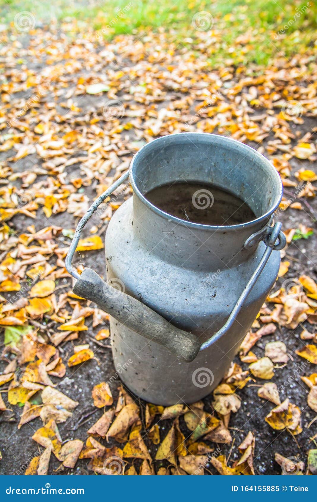 Milk churn stock image. Image of agriculture, yard, dairy - 164155885