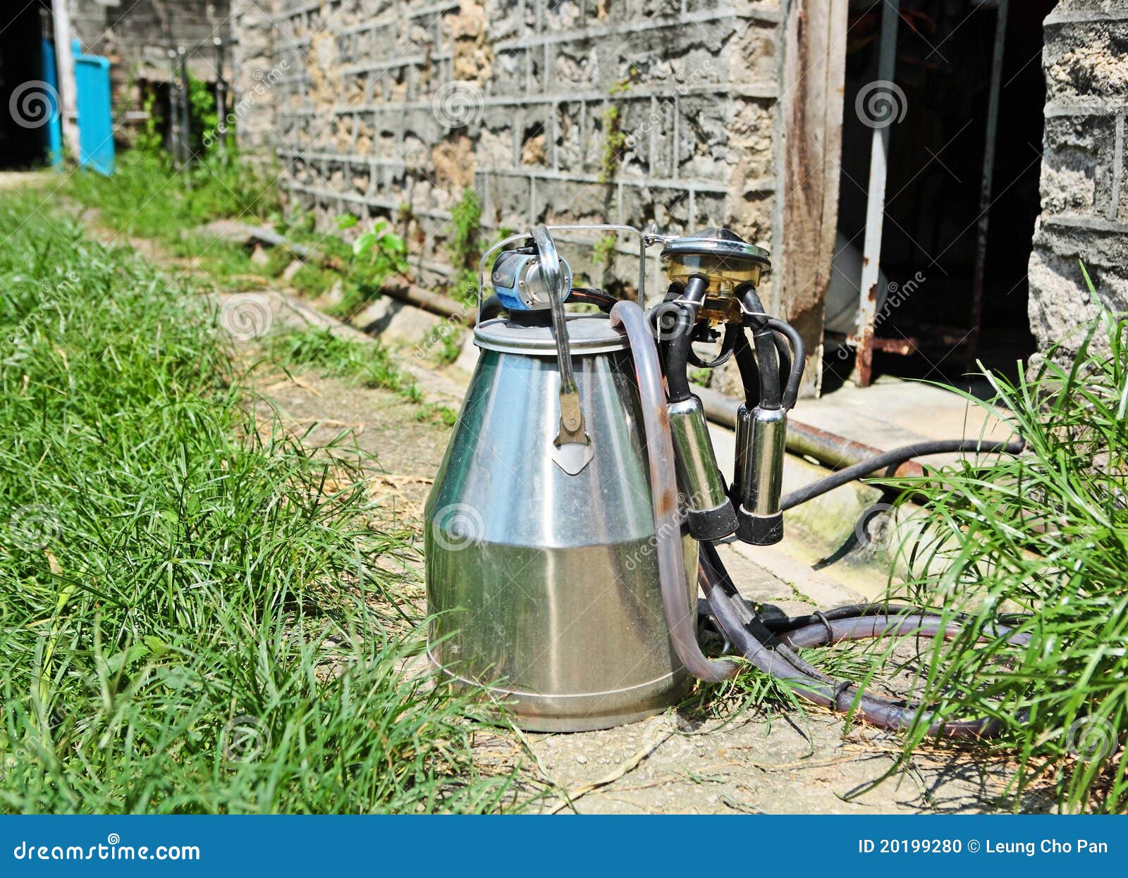 Milk collector stock photo. Image of farming, factory - 20199280