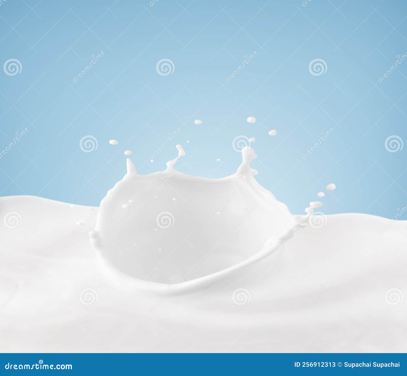 Milk Crown Splash, Splashing in Milk Pool with Blue Background Stock ...