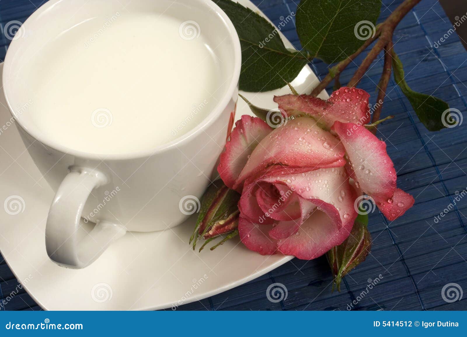 Milk cup stock photo. Image of flower, refreshing, drink - 5414512