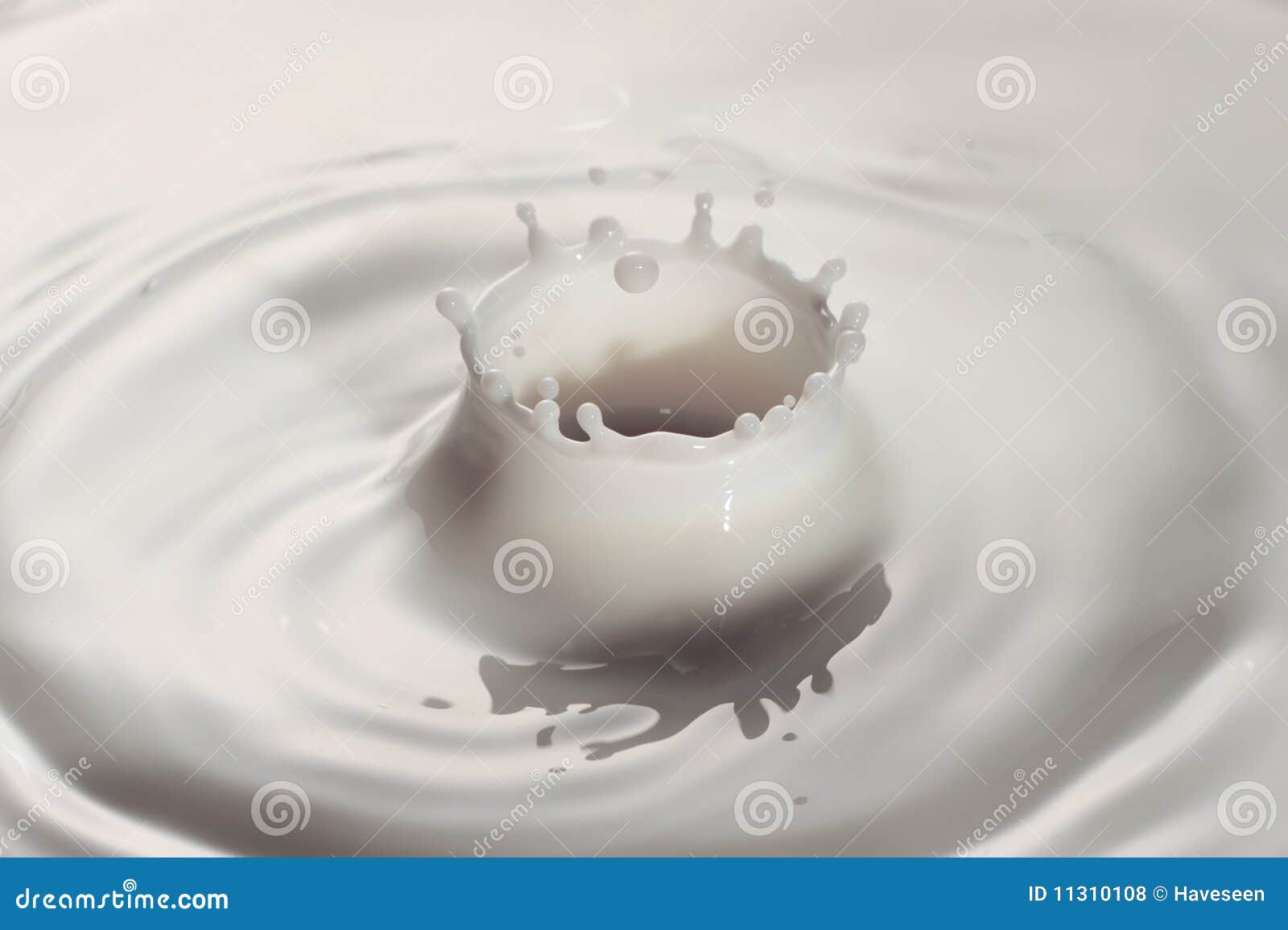 Milk drop stock photo. Image of falling, liquid, healthy - 11310108