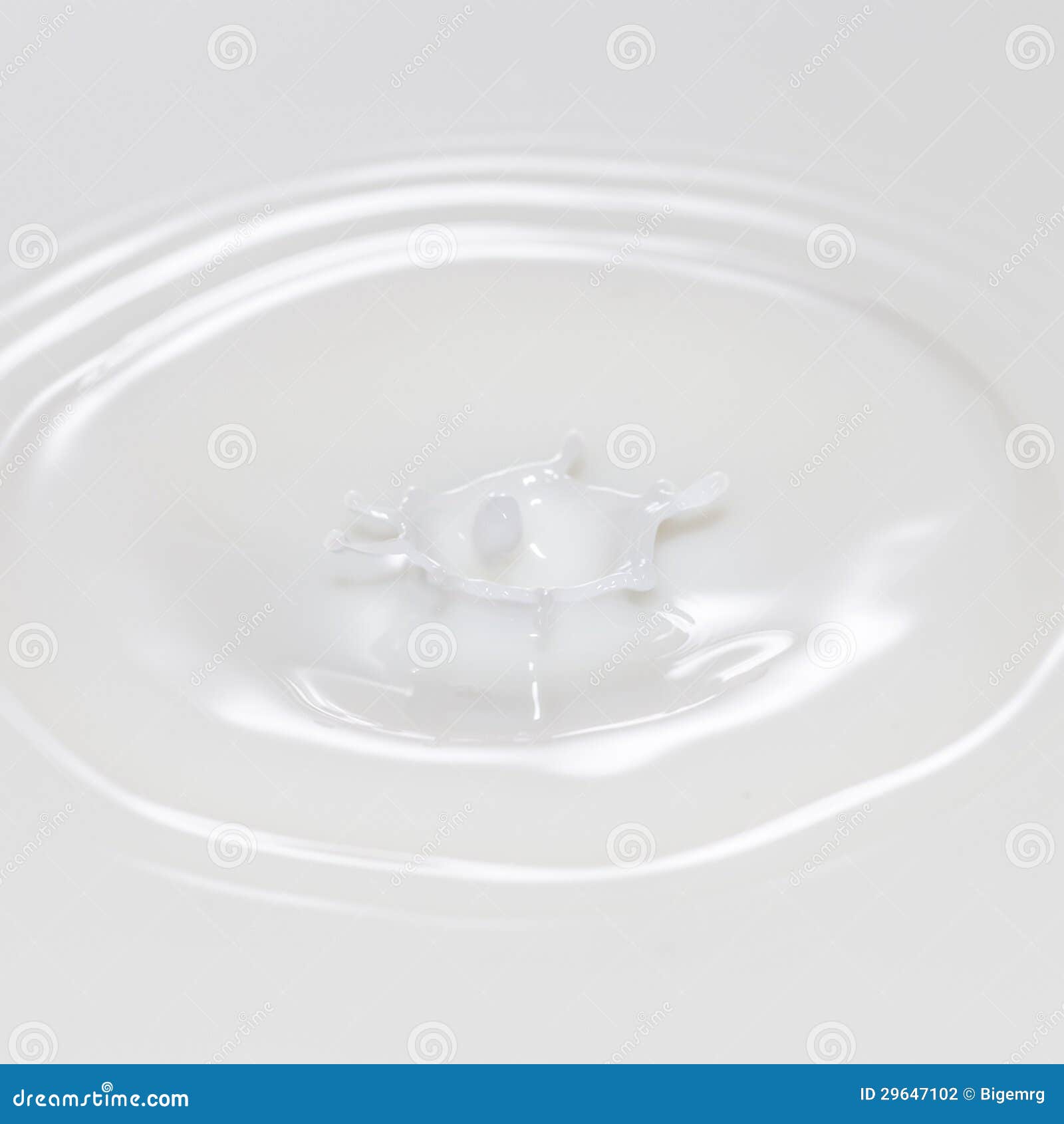 Milk Drop stock photo. Image of liquid, square, milk - 29647102