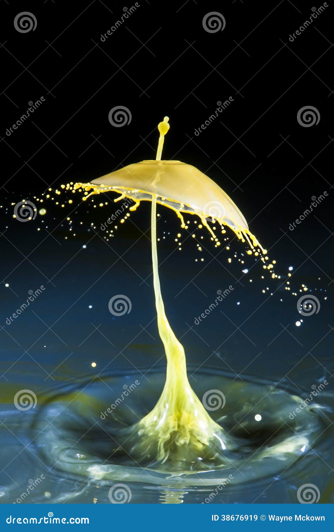 Milk Drop Splash Royalty-Free Stock Photo | CartoonDealer.com #24847443