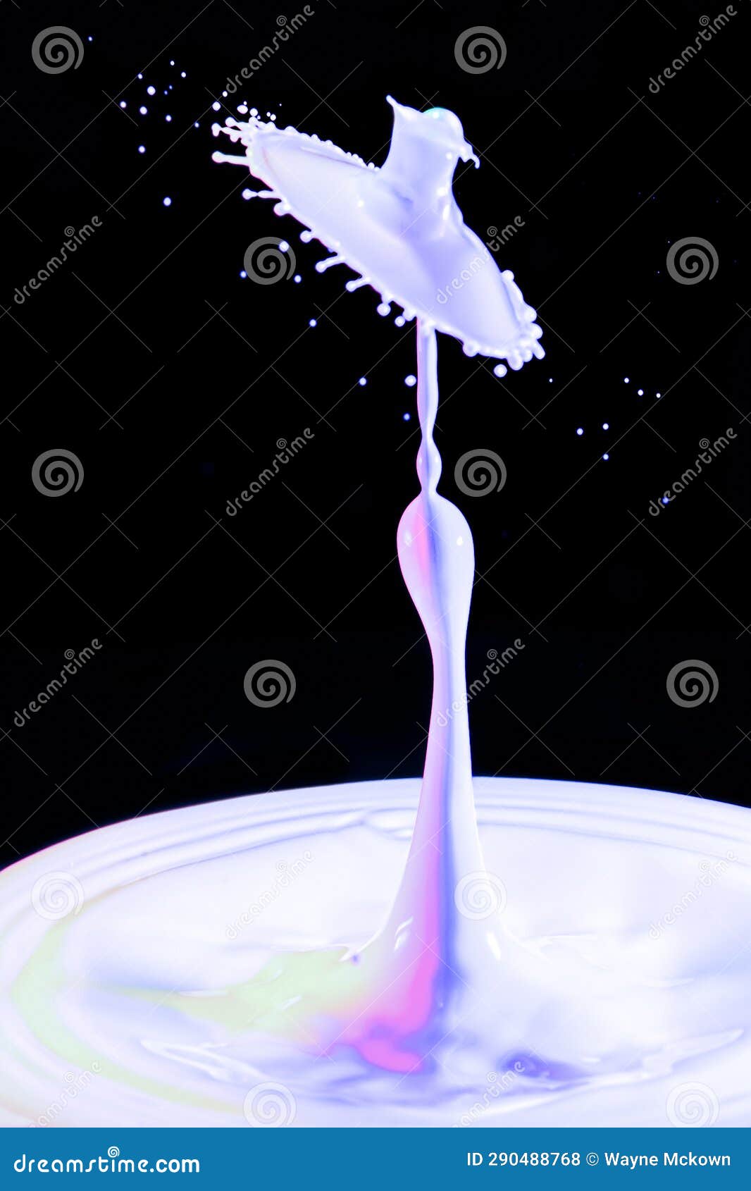 Milk drop stock photo. Image of natural, isolated, drink - 290488768