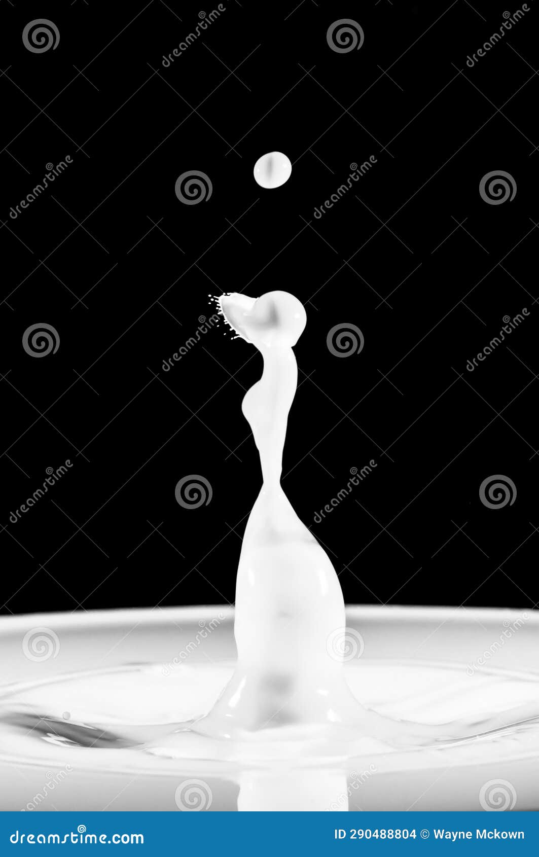 Milk drop stock photo. Image of reflection, isolated - 290488804