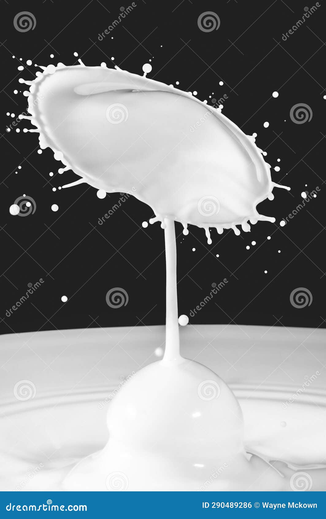 Milk drop stock photo. Image of shower, background, condensation ...