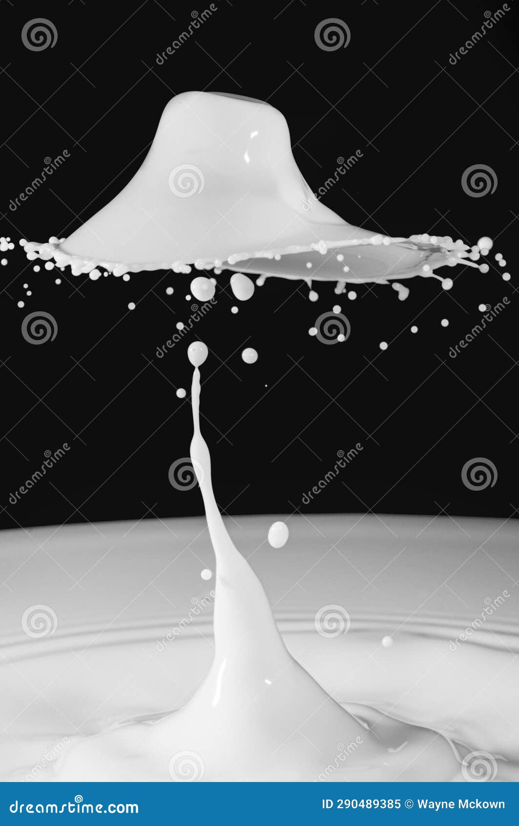 Milk drop stock image. Image of splash, fresh, aqua - 290489385