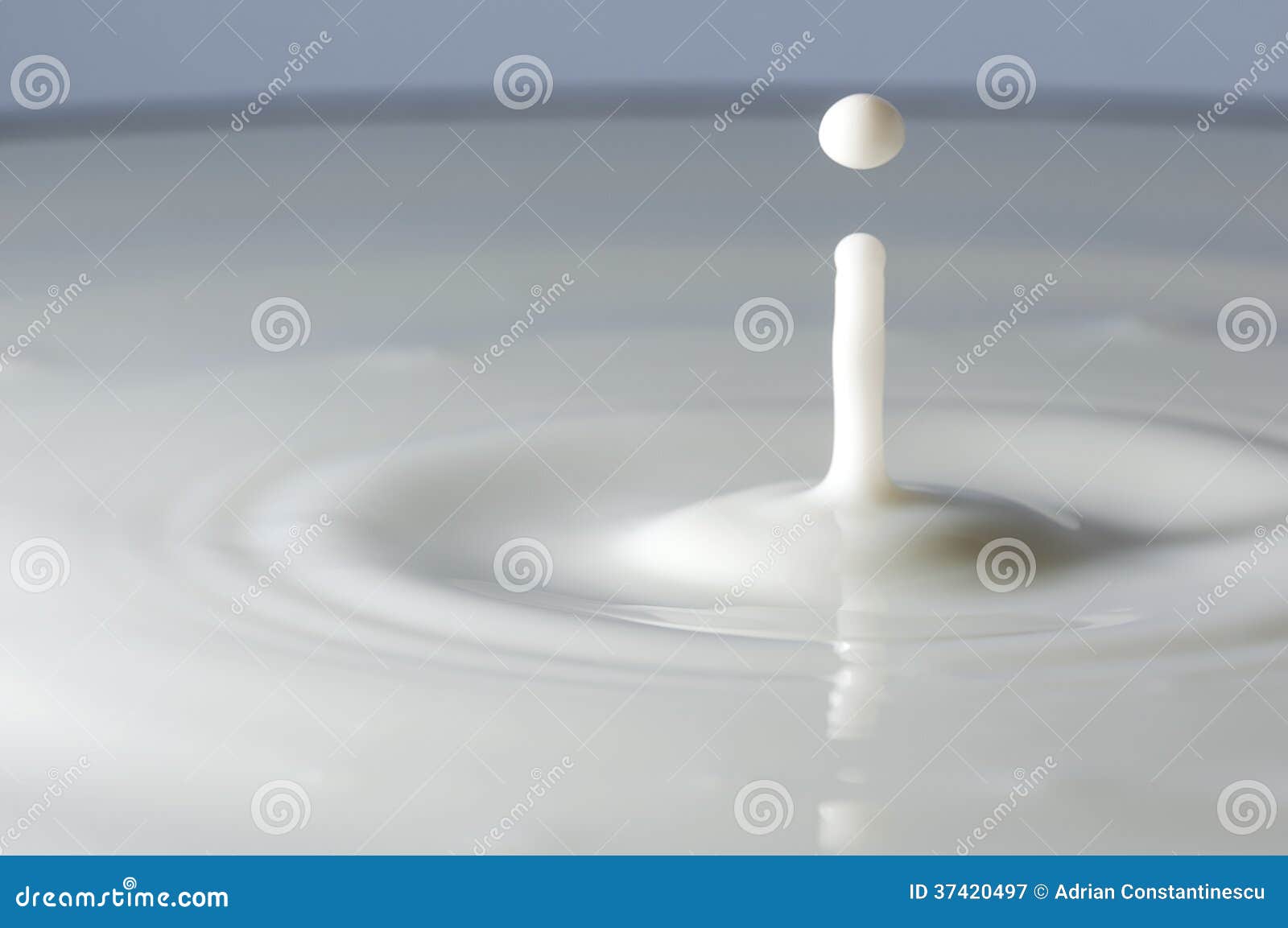 Milk drop stock image. Image of splash, water, cold, macro - 37420497