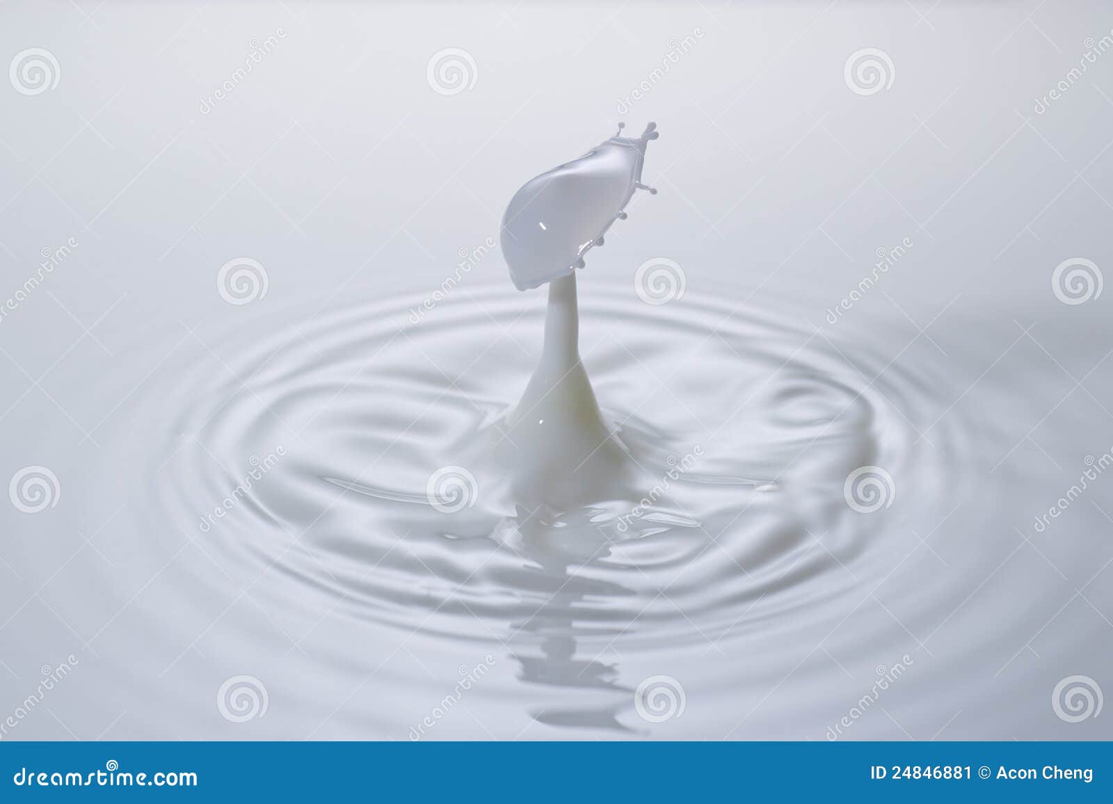 Milk Drop Splash Royalty-Free Stock Photo | CartoonDealer.com #24847443