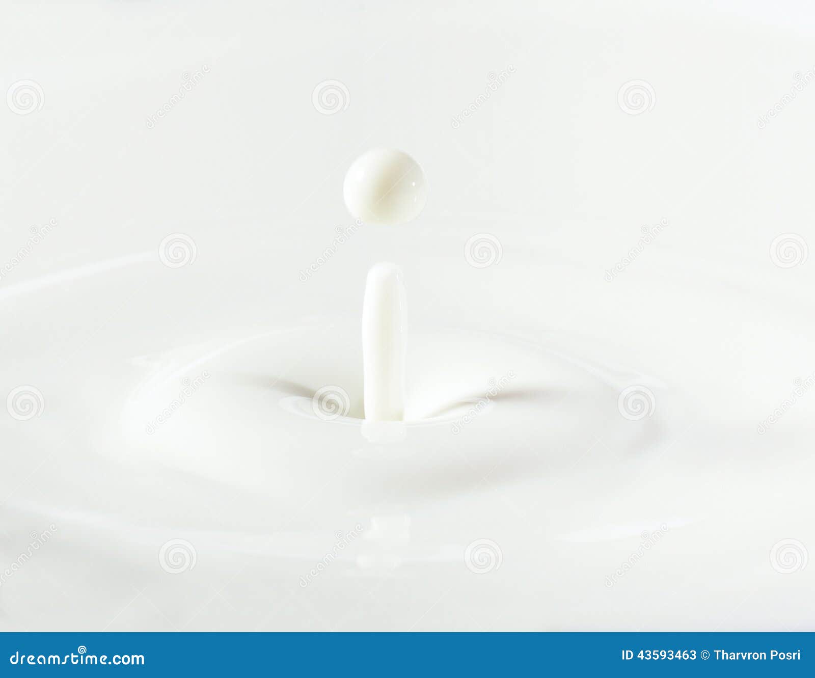 Milk drop stock image. Image of motion, beverage, liquid - 43593463